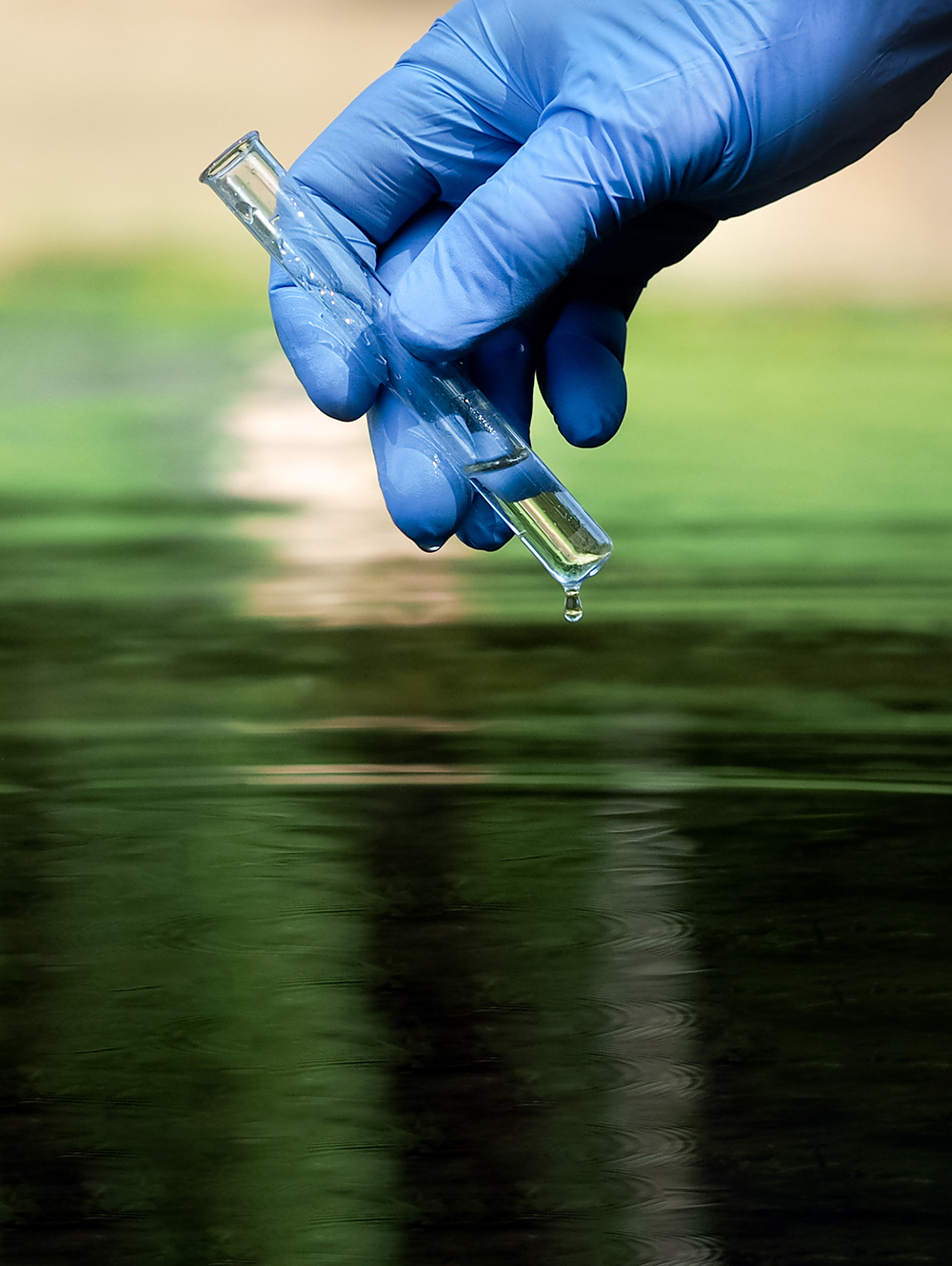 British American Tobacco Centroamérica - Marcas y productos